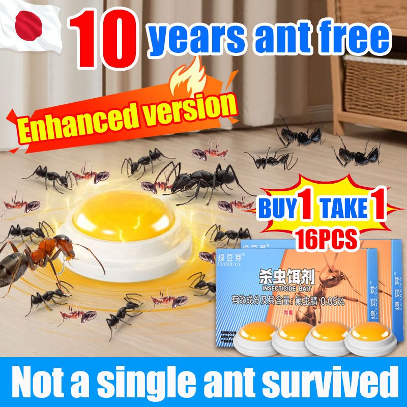 【Direct attack on ant nest】Ant bait Ant Killer Killants at their source ...