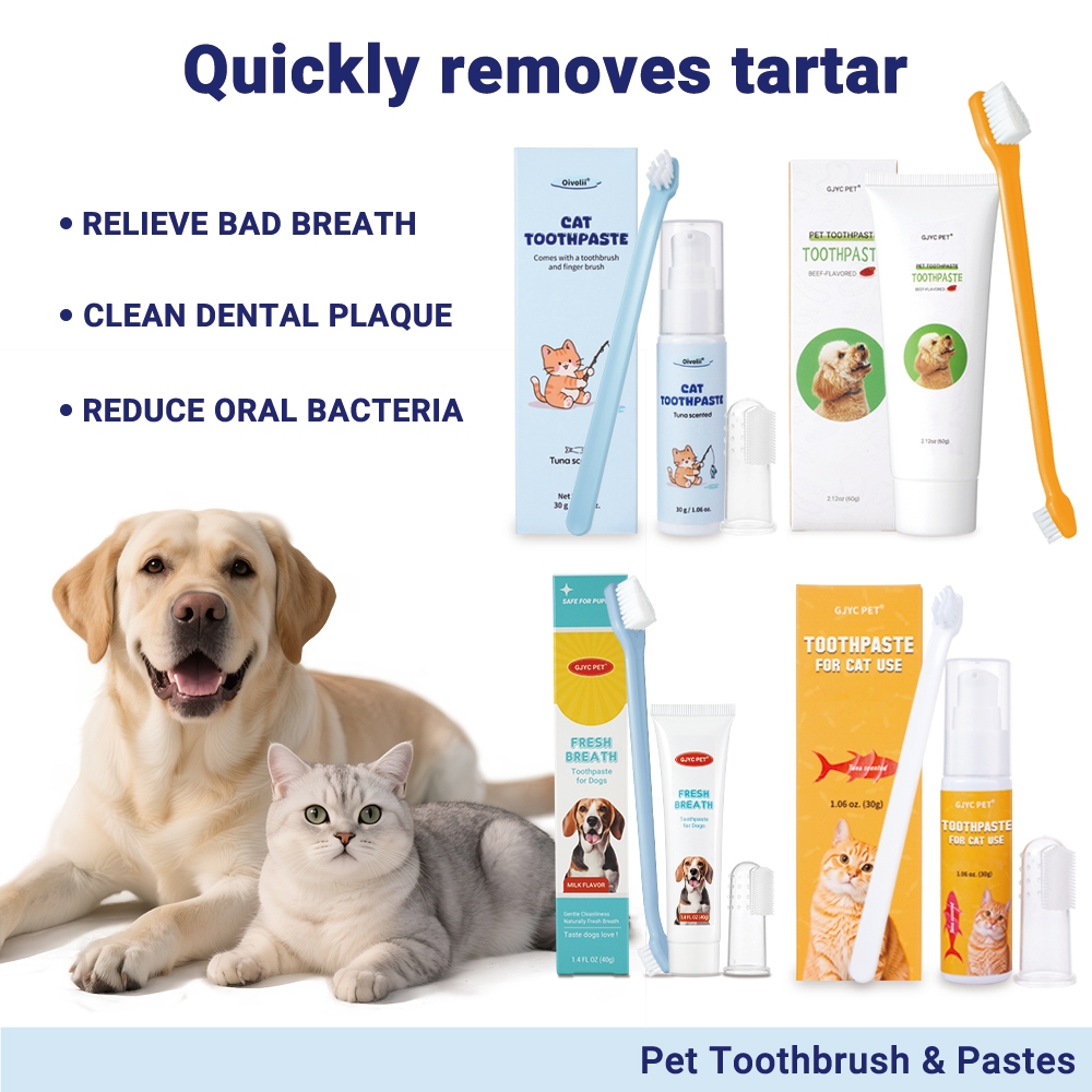 Toothpaste And Toothbrush Set Milk Beef Tuna Flavor Dog Cat Teeth ...