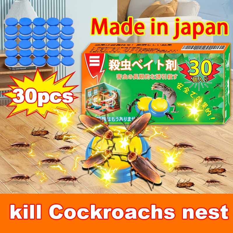Effective overnight FT Cockroach killer Cockroach gel Cockroach killer ...