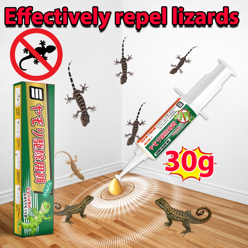 Lizards disappear！！！DD Lizard repellent Lizard killer Gecko repellant ...