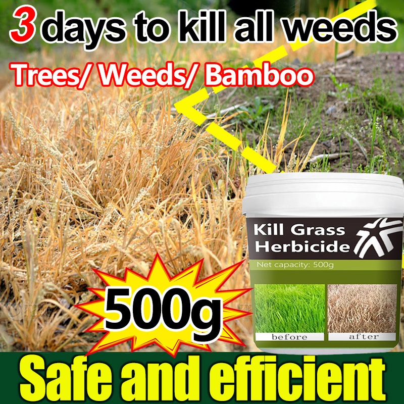 Herbicide Grass Killer 500g Kill Grass Herbicide Herbicide For Grass ...