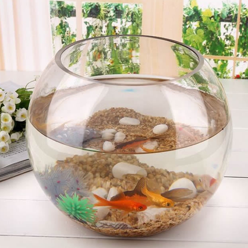 8/10/12/15cm Round Ball Vase Transparent Glass Fish Tank Hydroponic ...