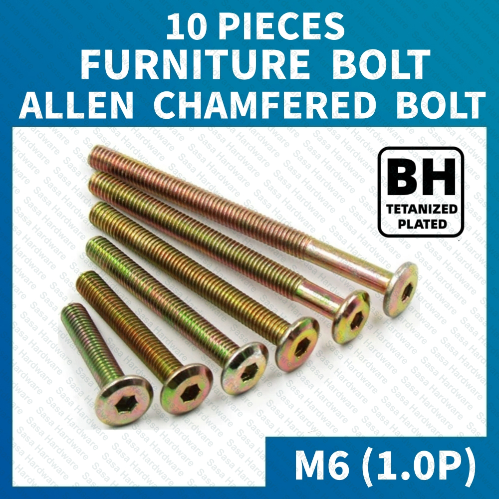 10pcs Furniture Bolt M6 Allen Chamfered Tetanized Bolt / Hex Socket ...
