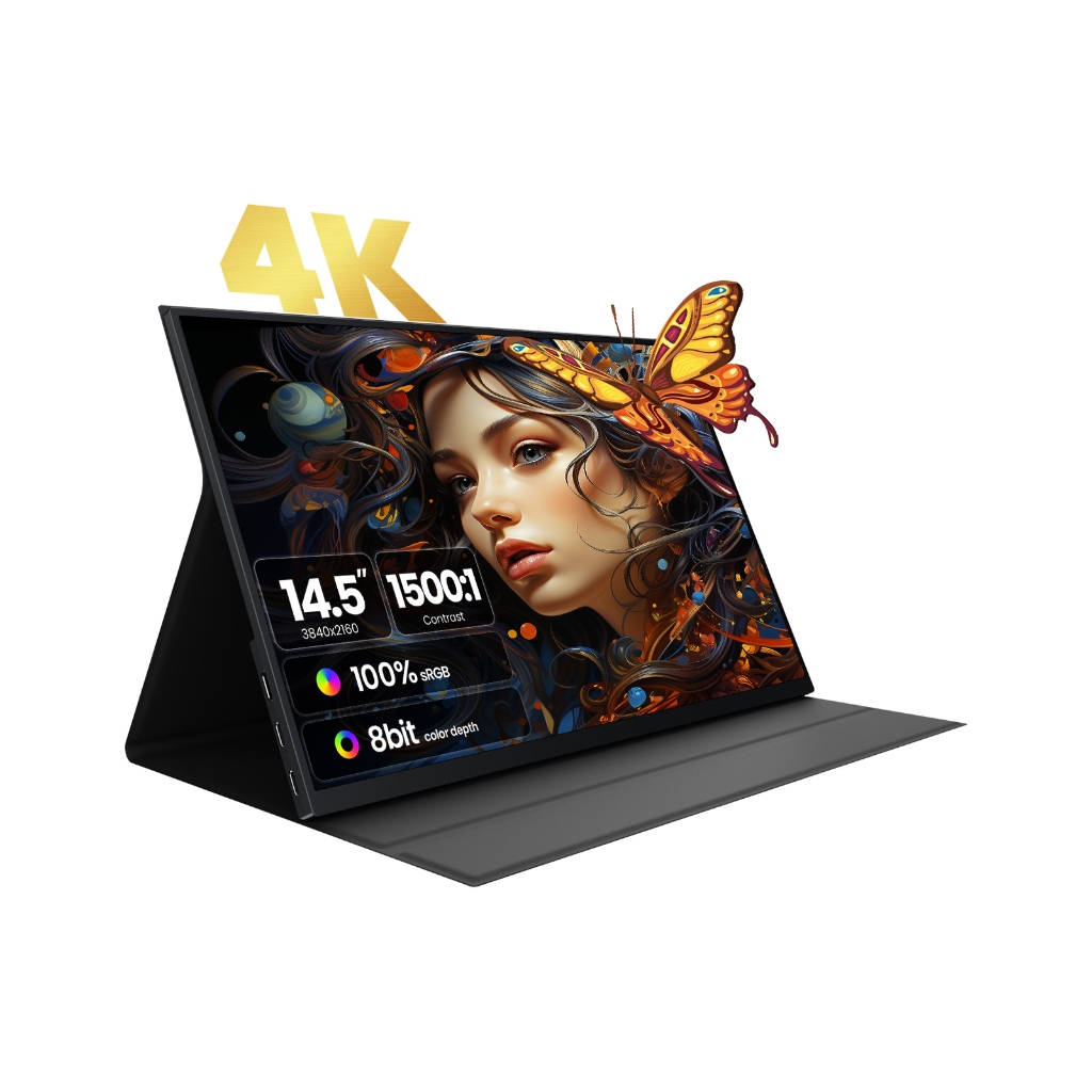ZSCMALL 4K Portable Monitor, 15.6 Inch UHD IPS Laptop Monitor, Thin and ...