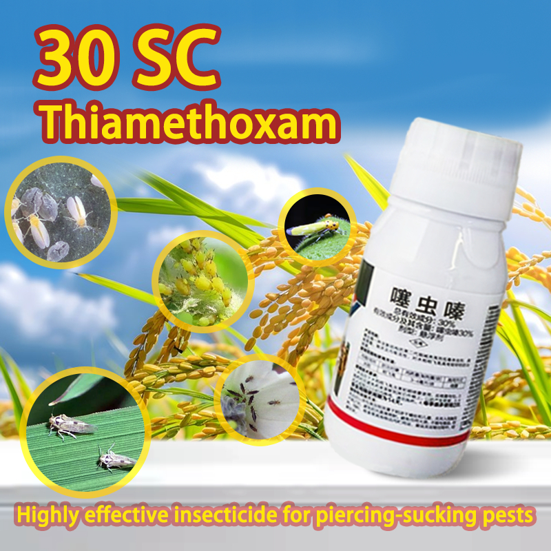 Thiamethoxam 100g Systemic Insecticide Miticide for Rice Controls ...