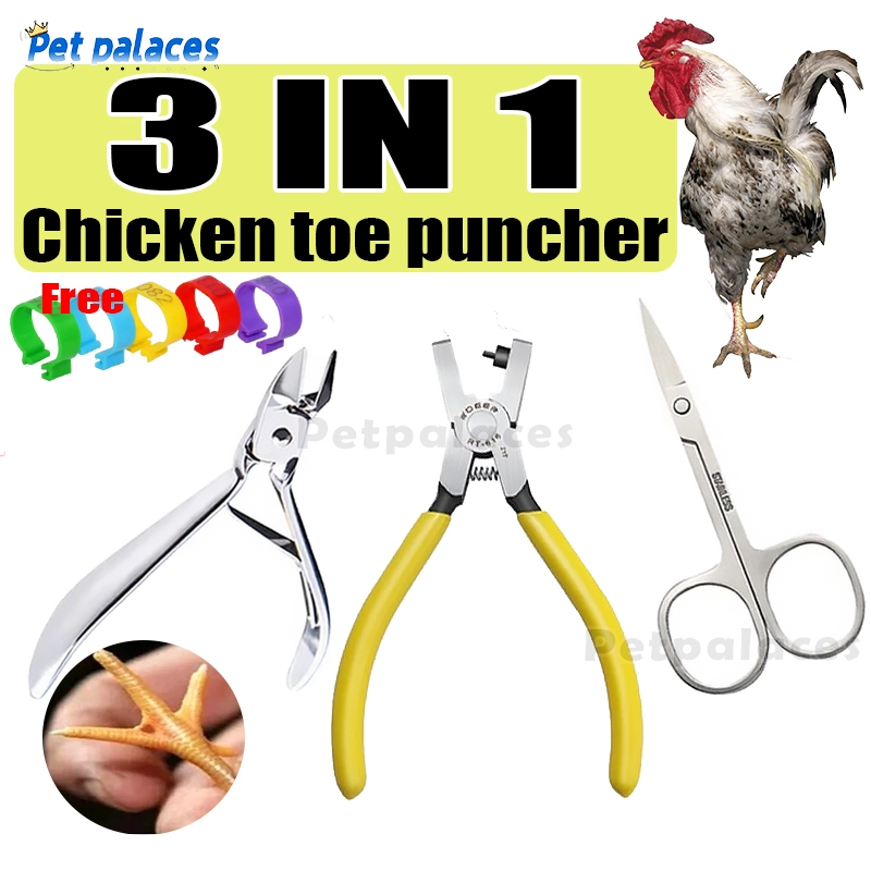 3 in 1 Chick Toe Puncher Set 2mm Stainless Chicken Feet Hole Wingband ...