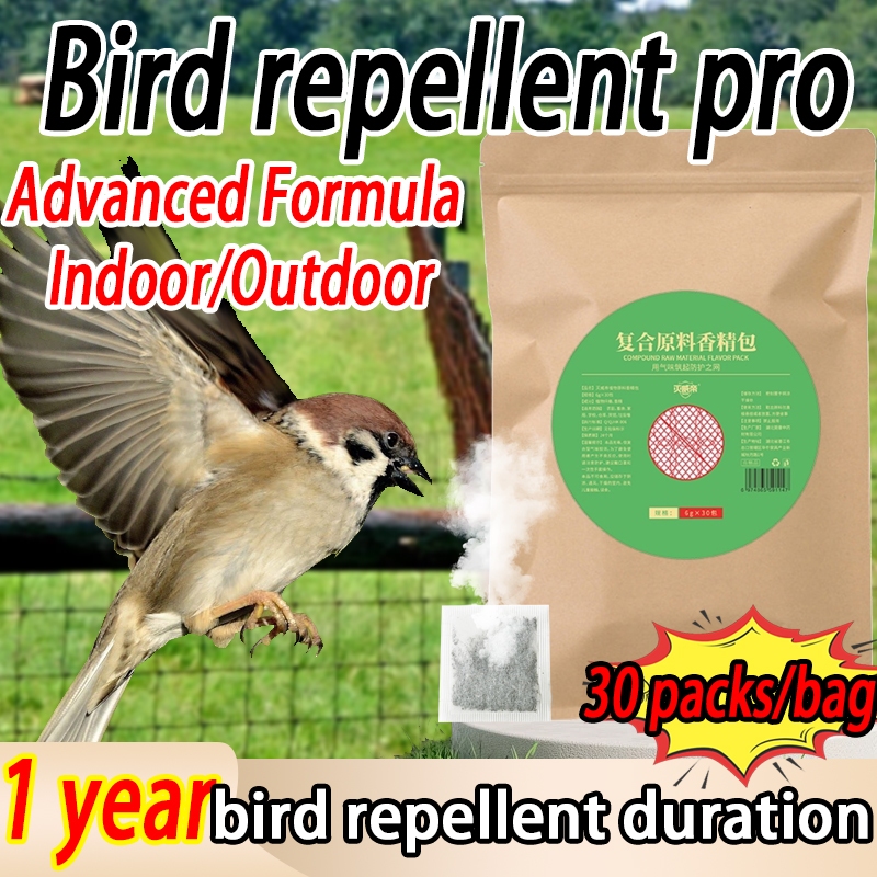 bird repellent for home 30pcs bird repellent outdoor | Shopee Philippines