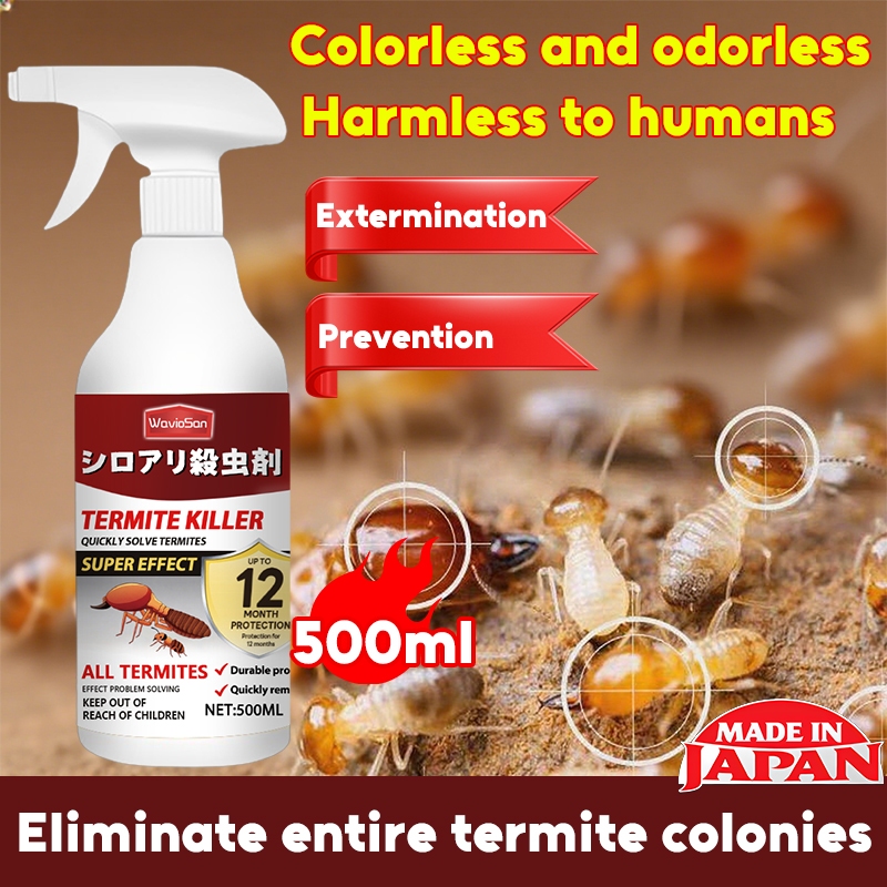 1 bottle kills nests DD Termite killer spray Termite killer Anay termite killer for wood ...