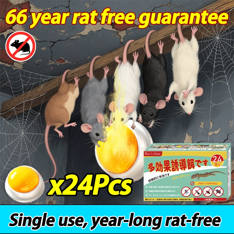 No rats within 1000 meters KAMI Rat killer for home Rat killer poison ...