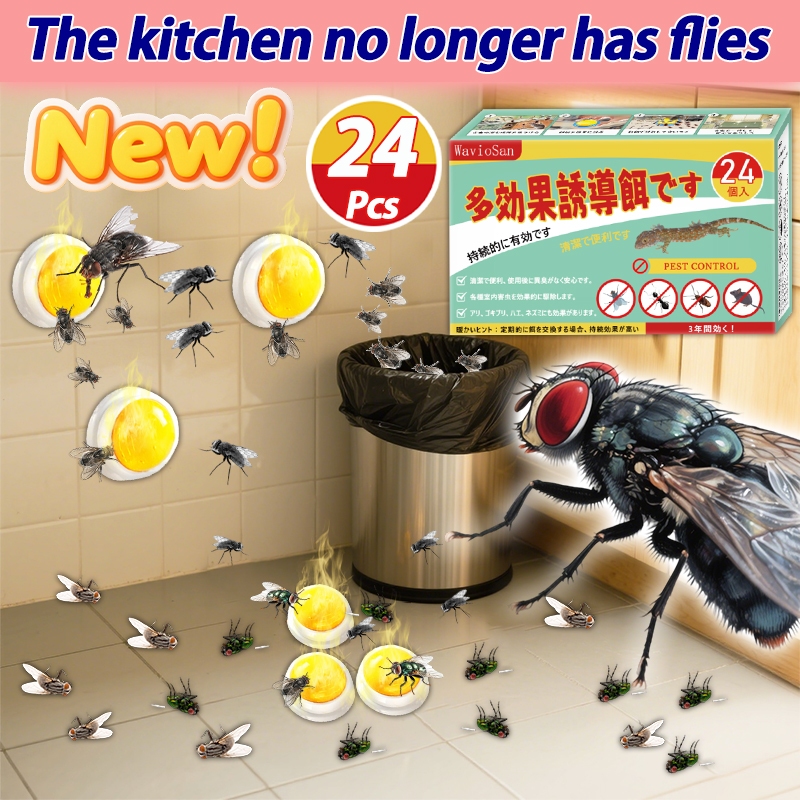 🪰Kill all flies in three seconds🪰KAMI Fly killer bait Fruit fly trap ...
