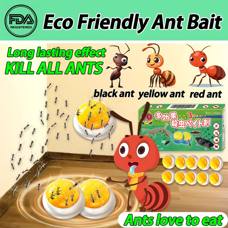 100% mortality rate KAMI Ant bait killer Ant killer bait Anti ants ...