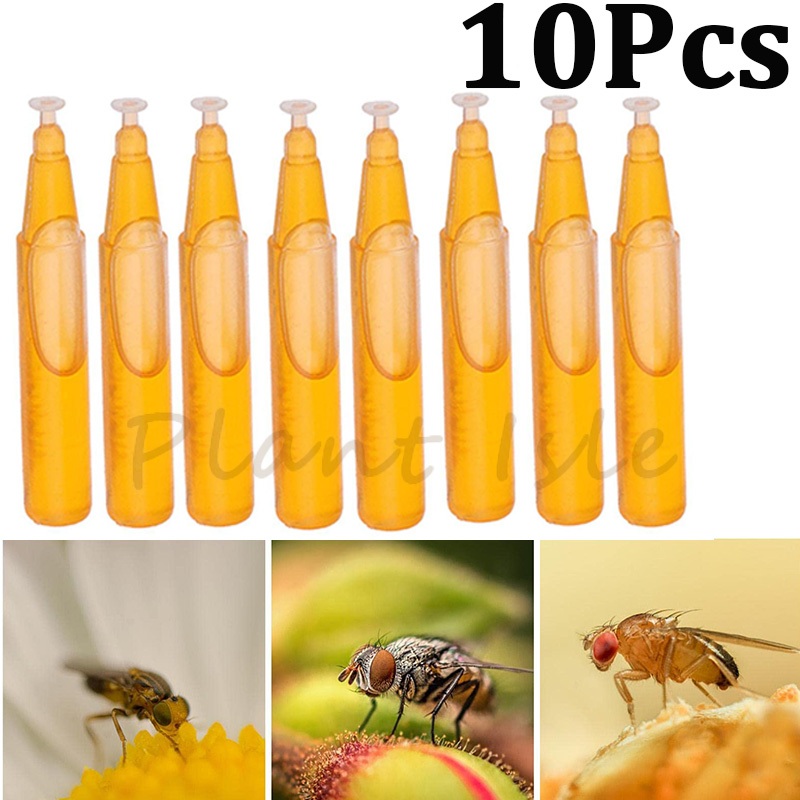 Fruit Fly Attractant Wasp Trap Bait Beekeeping Beehive Tool Killer ...