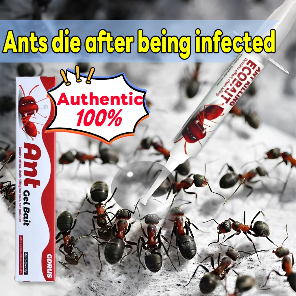 10 years without ants Ant bait killer Anti ant poison Anti ants killer ...