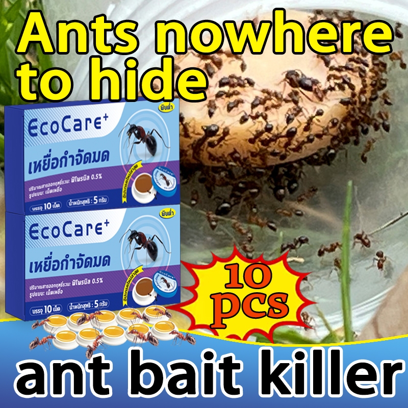 ant bait for home 10pcs ant killer anti ants killer ant repellent for ...