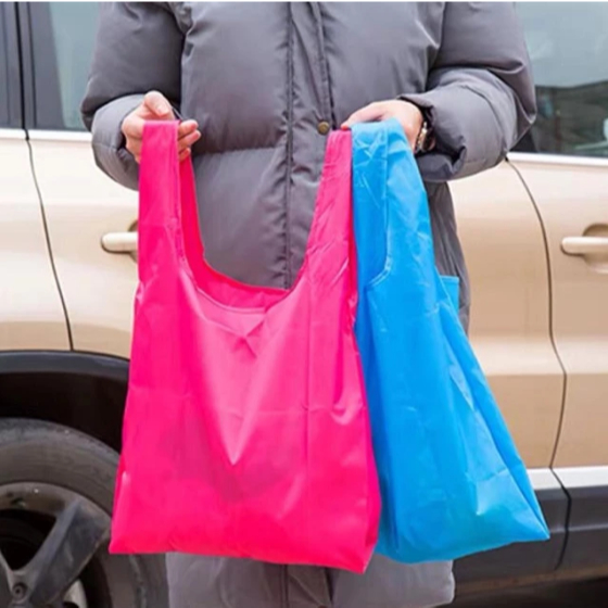 Tracy Shopping Beg Bag Foldable Handbag Eco Reusable Recycle Sling Bag ...