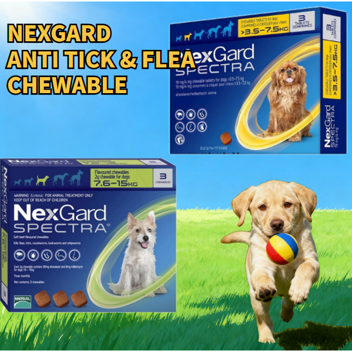 Nexgard | Nexgard Spectra for dogs Anti Tick & Flea with Sticker for ...