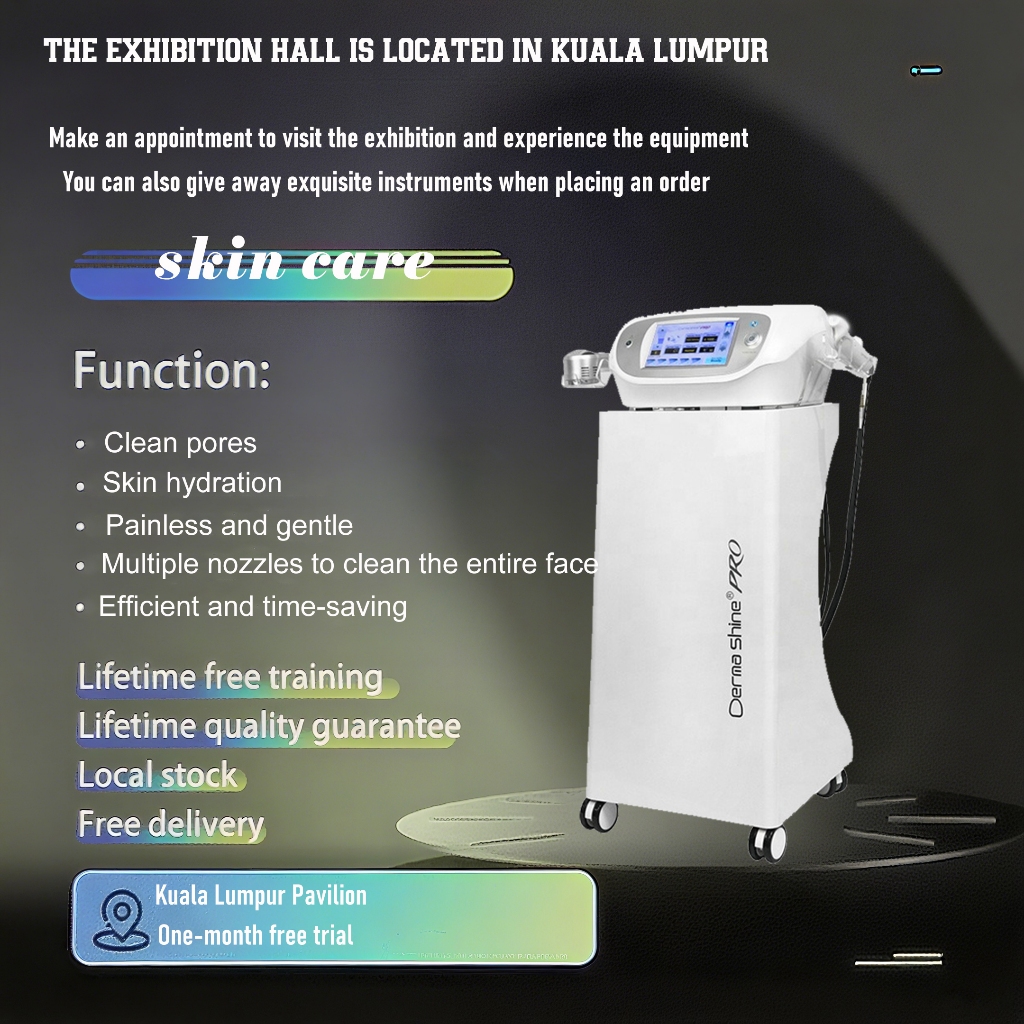 Injector 2 in 1 Mesotherapy Gun Derma Pro Shine Meso Gun Microneedling ...