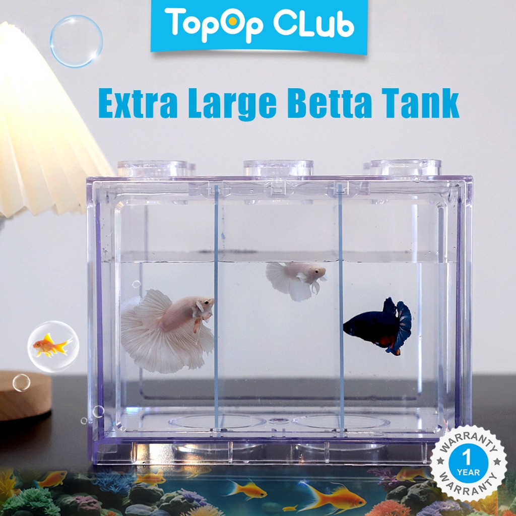 TOPOP Betta fish Extra-Large Aquarium Tank Small Ornamental Fish ...
