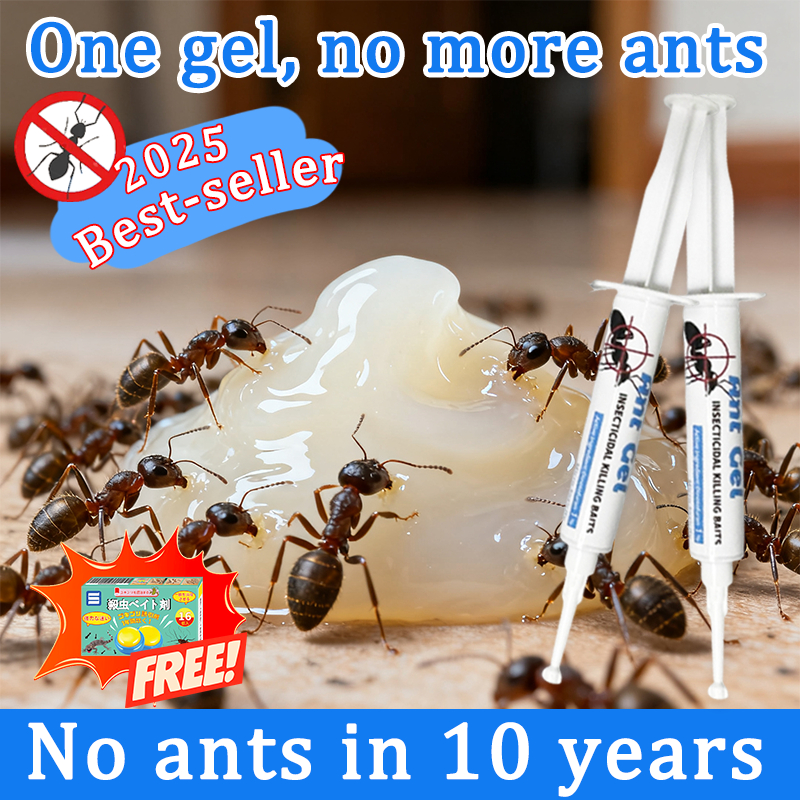 Gel traps, ants vanish XXM Ant repellent for home Ant bait Ant ...