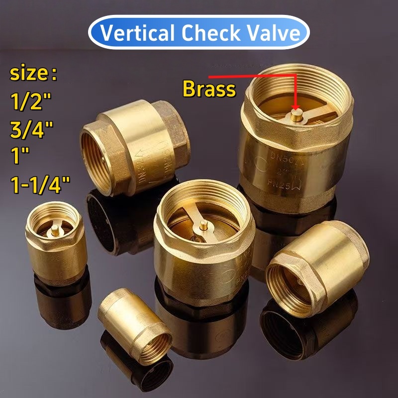 BRASS CHECK VALVE Heavy Duty Thread Spring Vertical Pump Valves SIZES ...