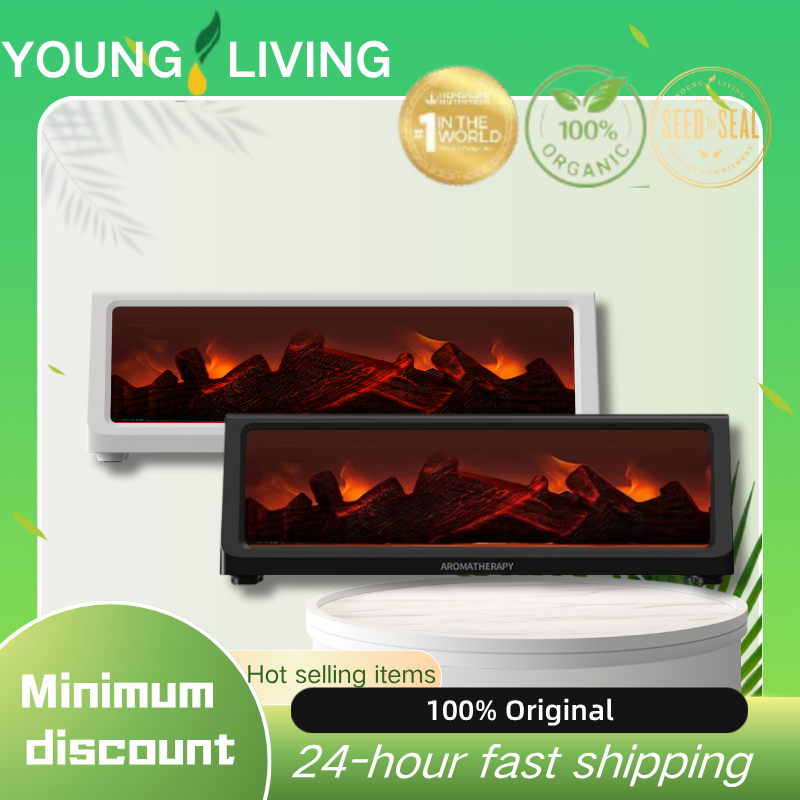 Electric Flame Aroma Diffuser Humidifier 3-in-1 | Flickering LED ...