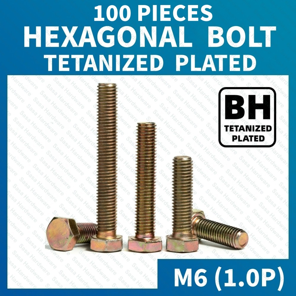 100pcs 6MM (1.0P) Hex Bolt / Tetanized Plated Hexagonal Bolt BH ...
