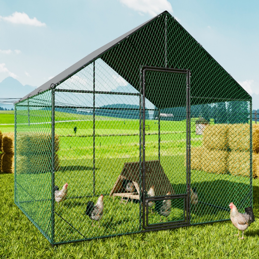XXL Sized Outdoor Chicken Coop Outdoor Metal Chicken Coop Walk-in ...