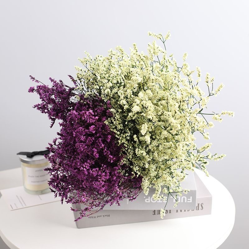 Caspia Misty White Dried flower per Bundle | Shopee Philippines