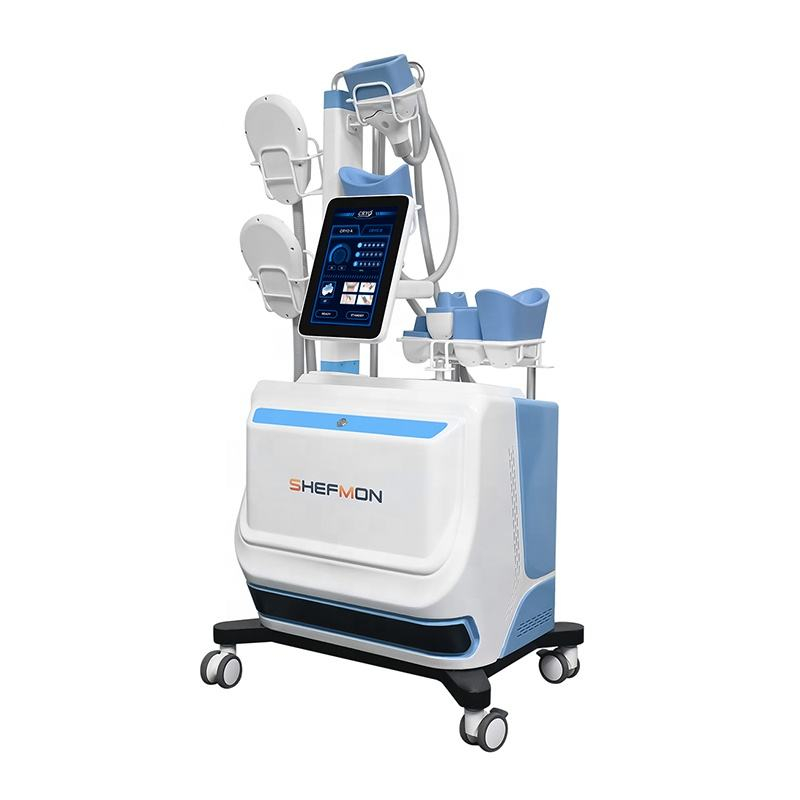 2 in 1 Cryolipolysis Fat Removal EMS Muscle Building Slimming Machin ...