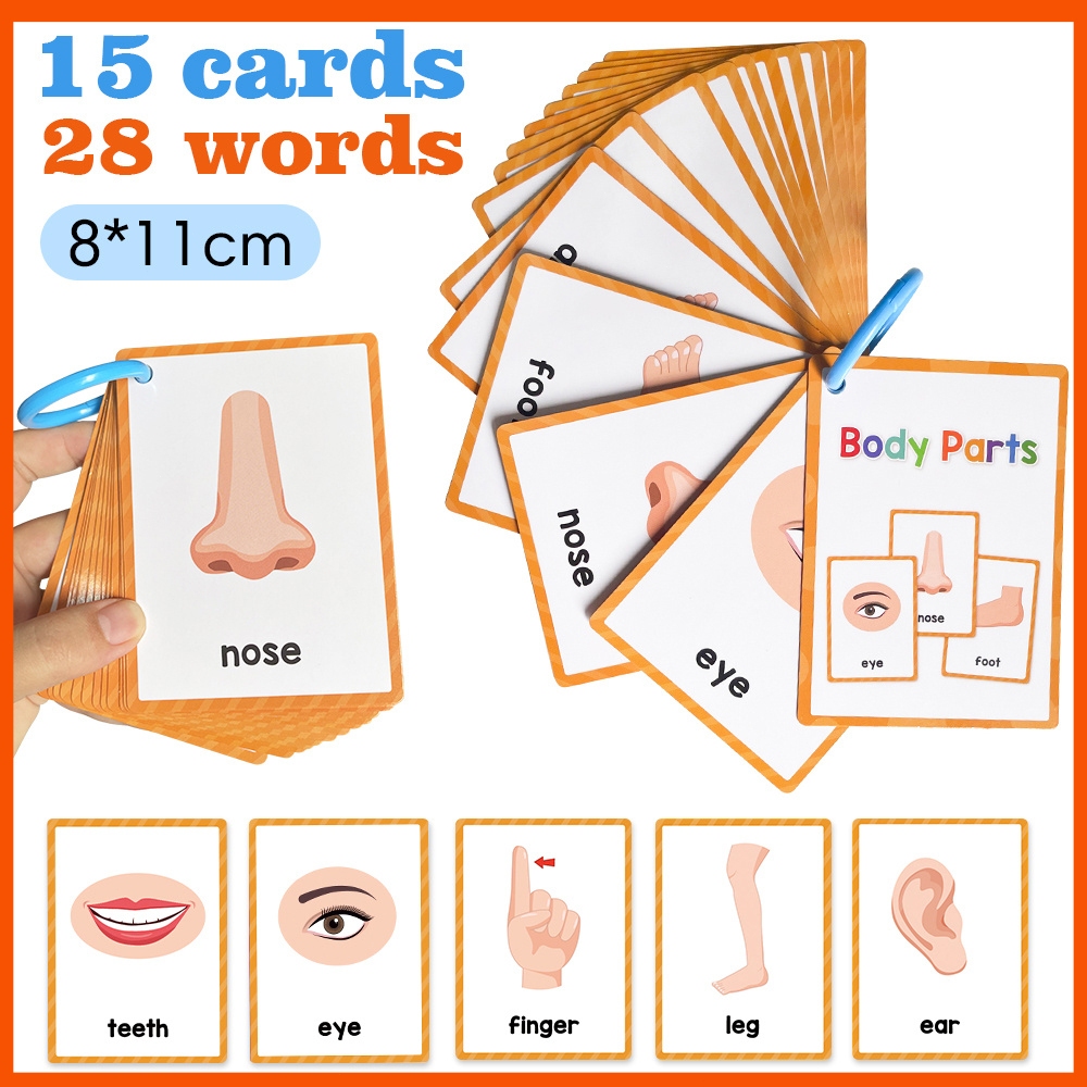 Body Parts Flash Cards for Kids 15 Cards 28 Words English Learning ...