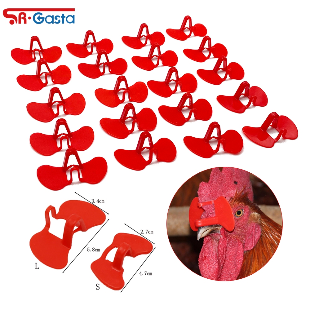 GASTA 20Pcs Plastic Chicken Glasses Anti-pecking Gamefowl Rooster ...