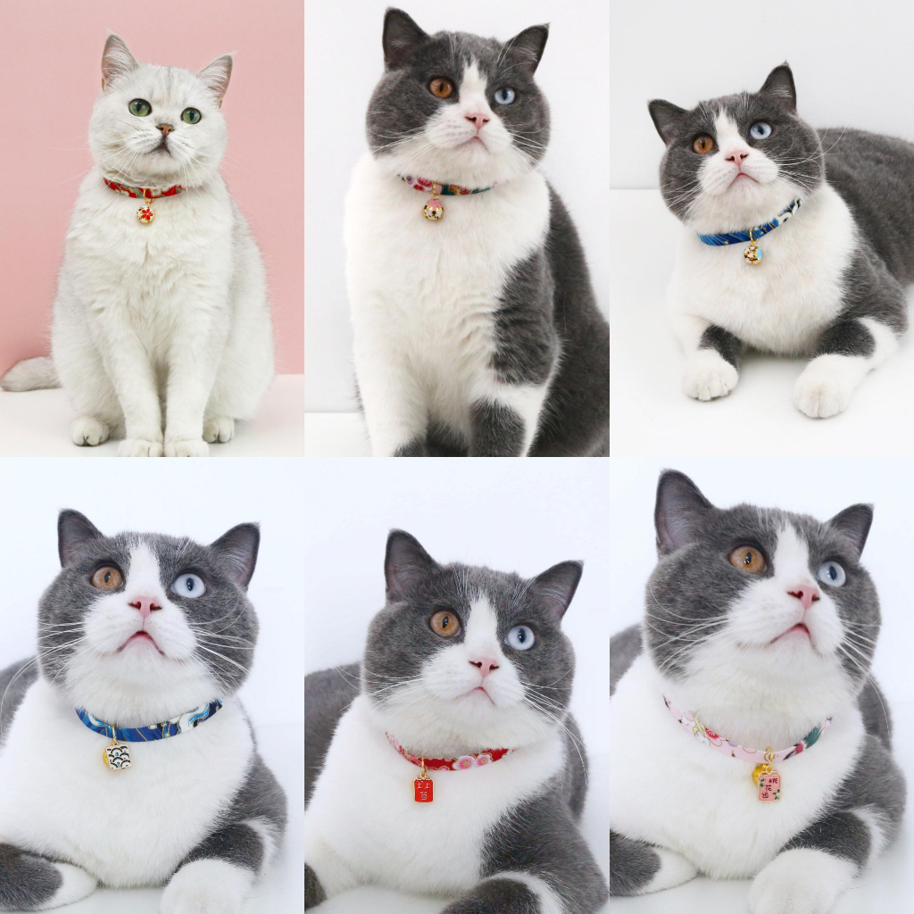 Pet Cat Dog pet collar fashion accessories Kucing Adjustable Geometric ...