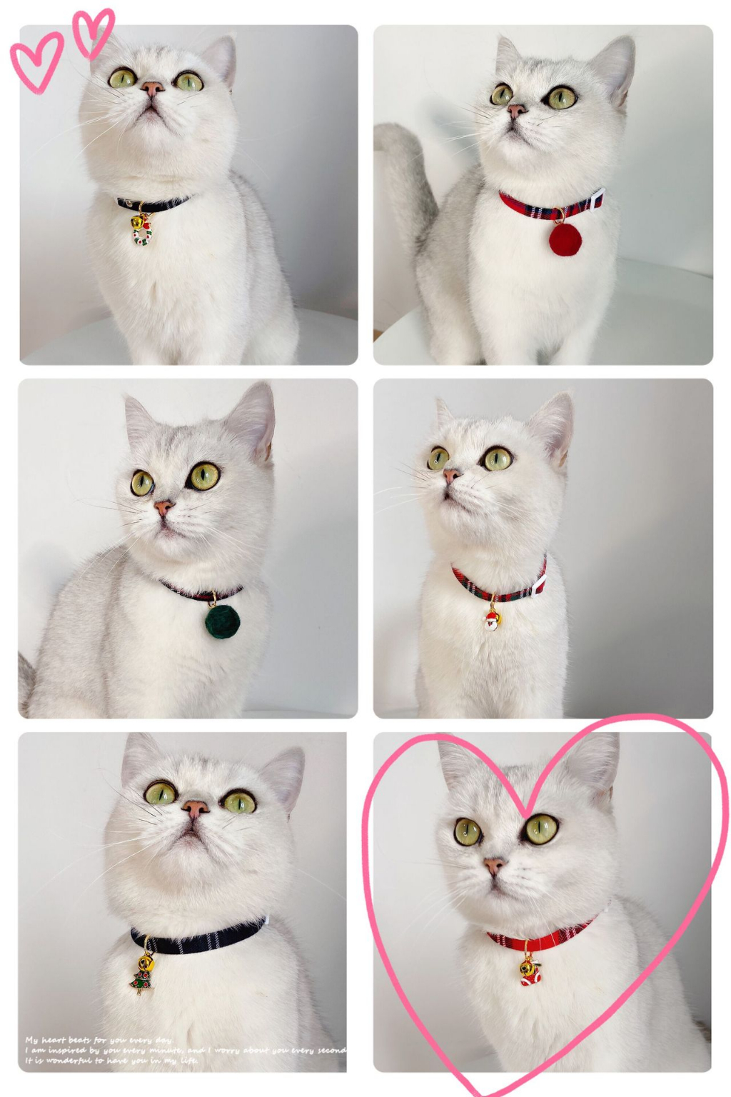 Pet Cat Dog pet collar fashion accessories Kucing Adjustable Geometric ...