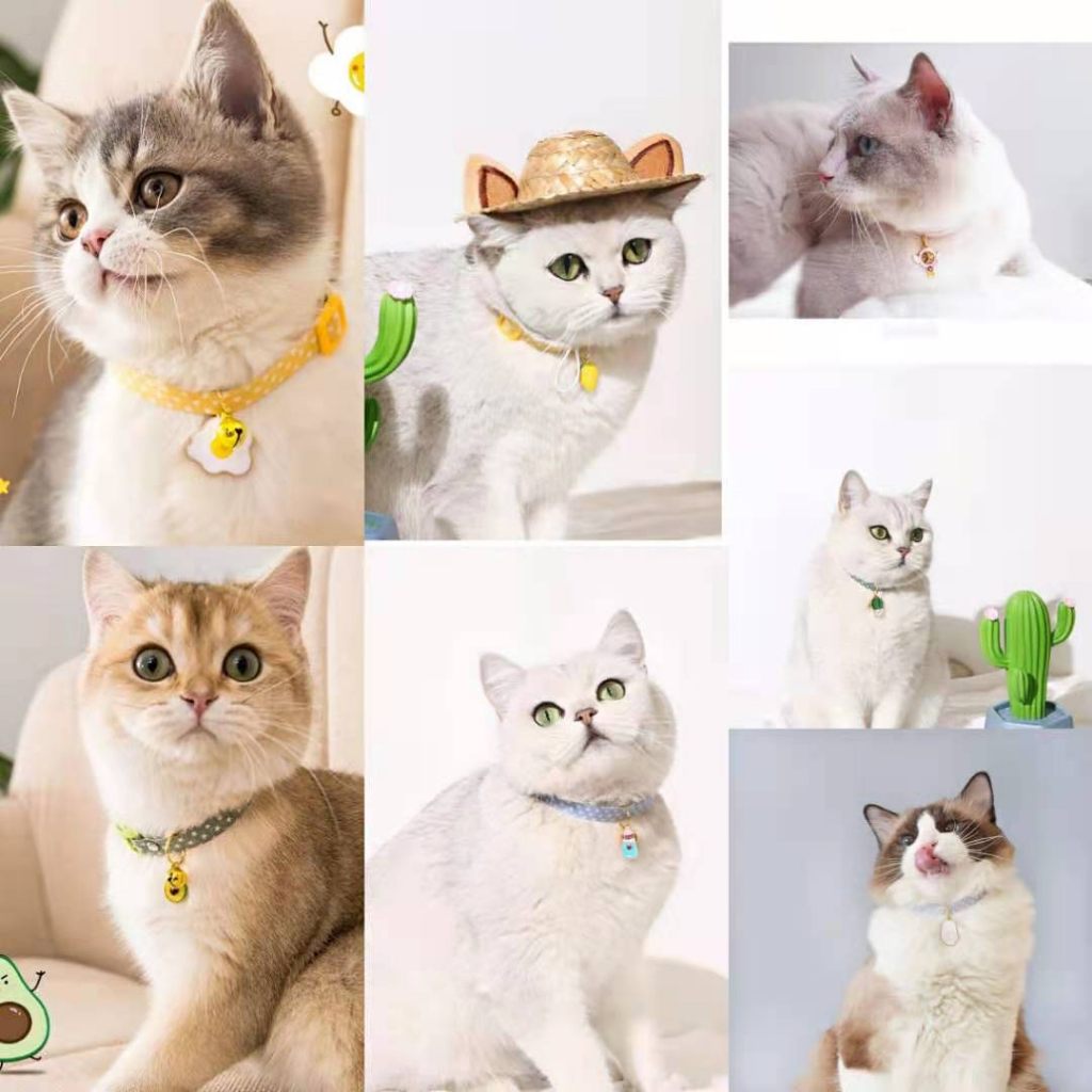 Pet Cat Dog pet collar fashion accessories Kucing Adjustable Geometric ...
