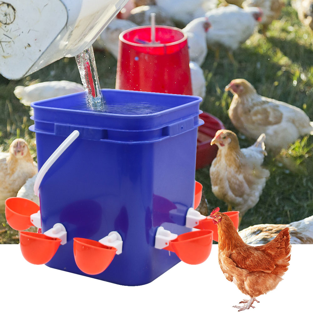 10L Blue Chicken Duck Goose Bucket Chicken Feeder and Waterer Kit with ...