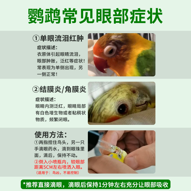 Parrot Peony Xuanfeng Tearing eyes Swelling conjunctivitis Eye drops ...