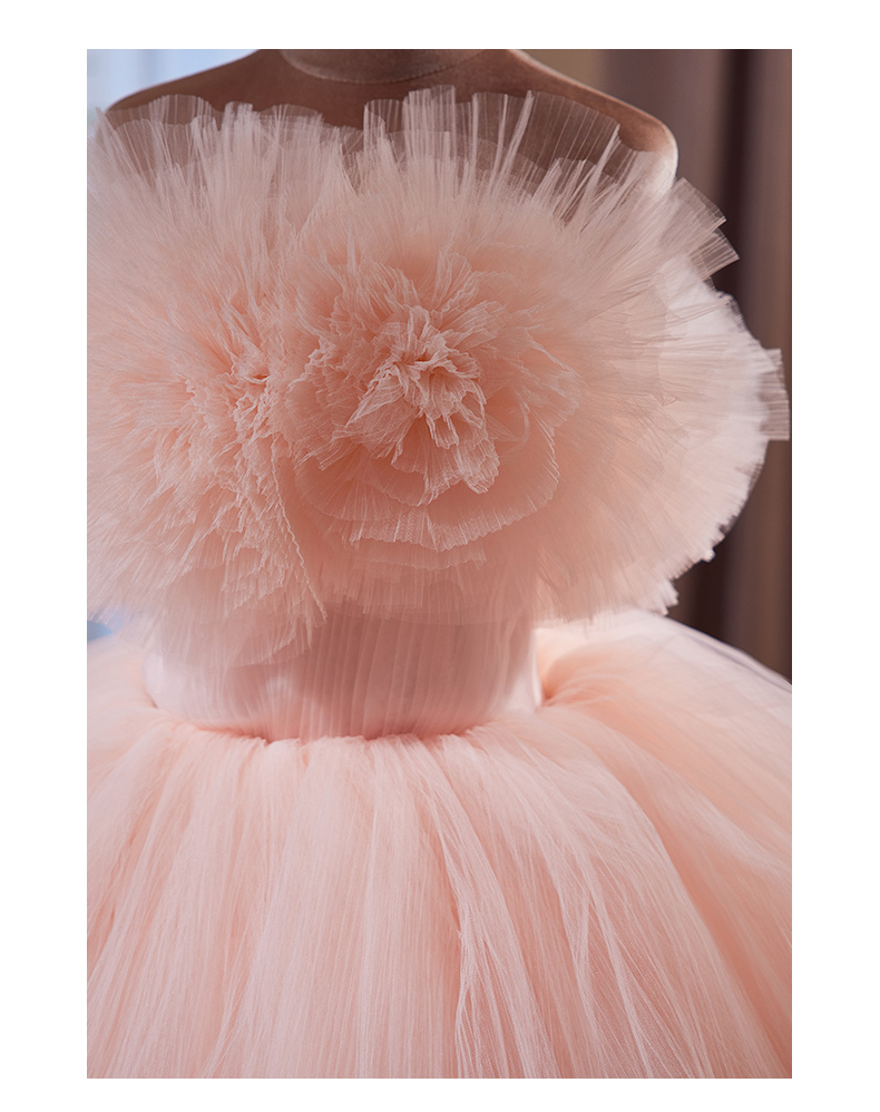 Pink Ball Gown For Js Prom Dress Princess Style Tailed Evening Dress ...