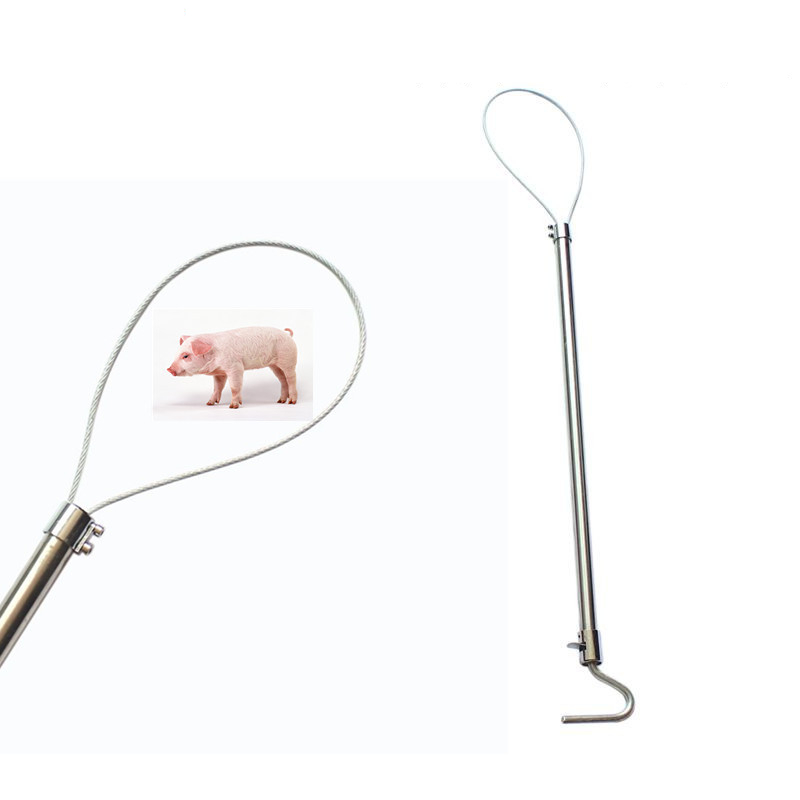 Stainless Steel Hog Rod Type Holder Pig Catcher Tool Swine Pig Farm ...