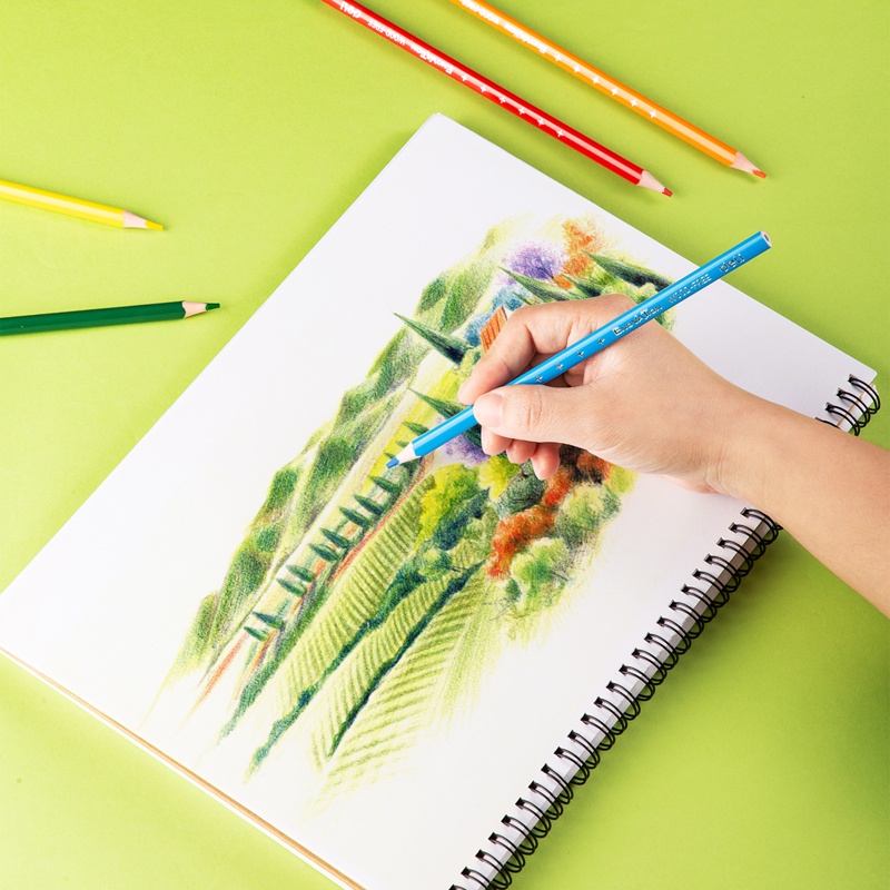 Deli 12/24 Colors Colour Pencils Set Student Drawing Pencil Art ...