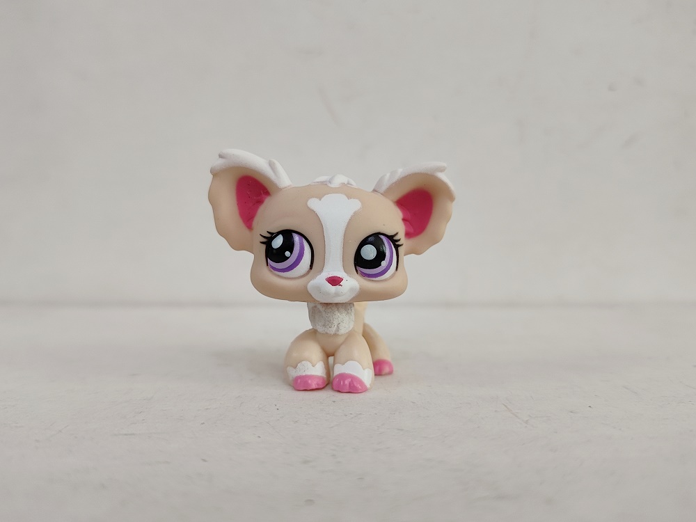 LPS Action Figure littlest pet shop Yellow Pink Chihuahua Dog #1892 kid ...