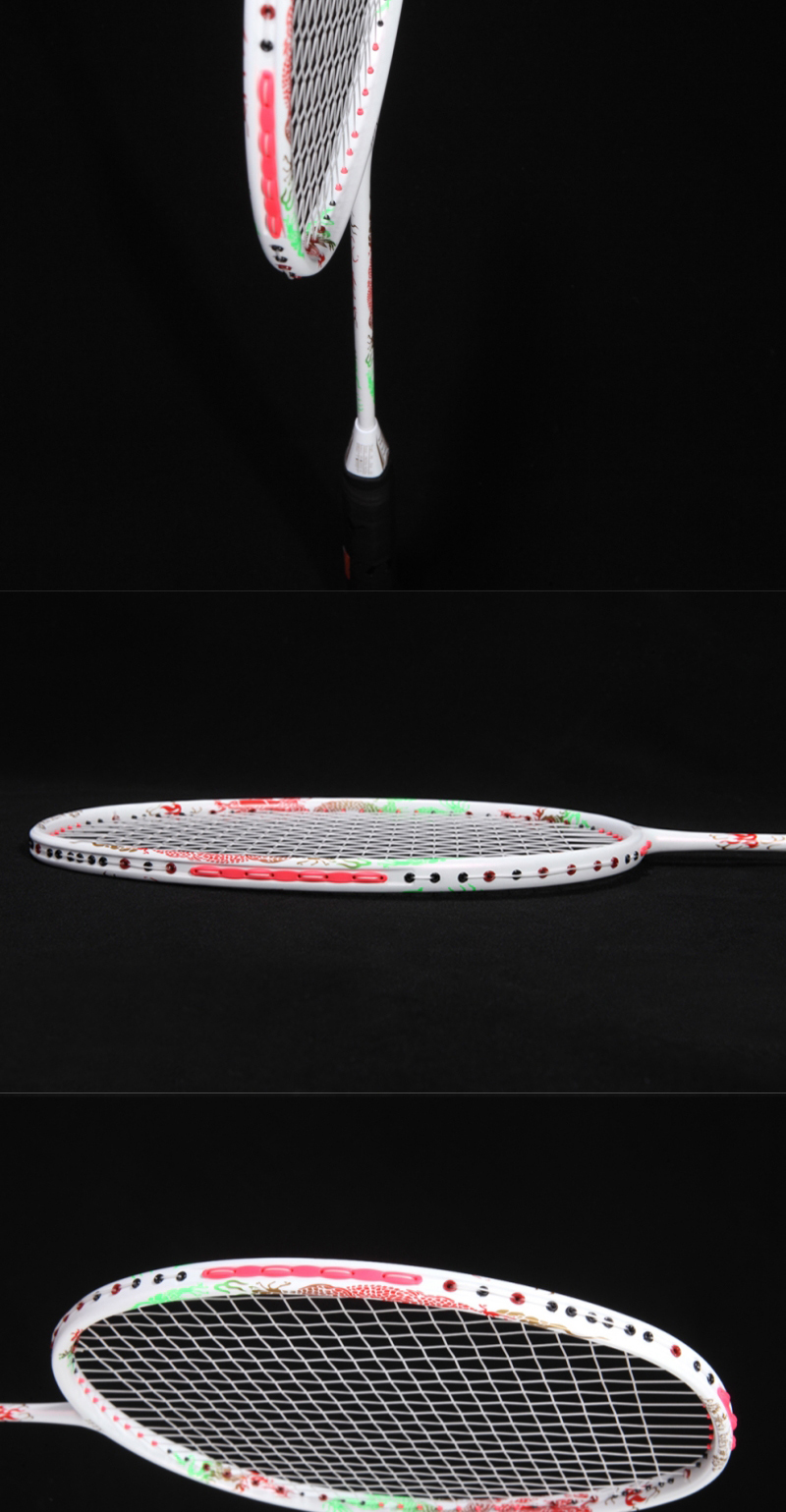 Alpsport Fs 4u G5 Max 35 Lbs Strung Attack Type 100% Full Carbon Fiber ...
