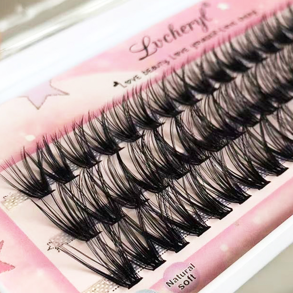Lvcheryl 60 Clusters Lashes D Curl Volume Individual Lashes Extensions ...