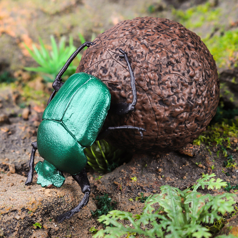 simulation push dung beetle rolling ball insect model children ...