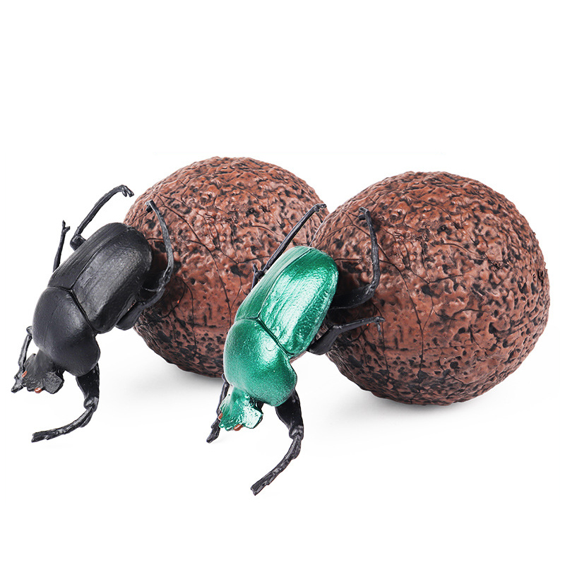 simulation push dung beetle rolling ball insect model children ...