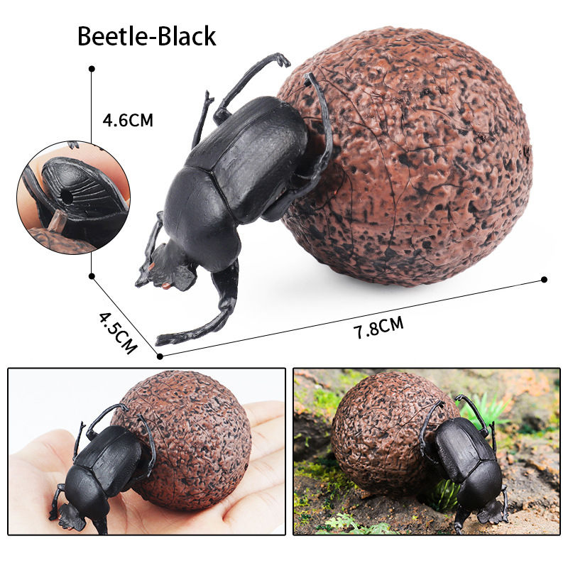 simulation push dung beetle rolling ball insect model children ...