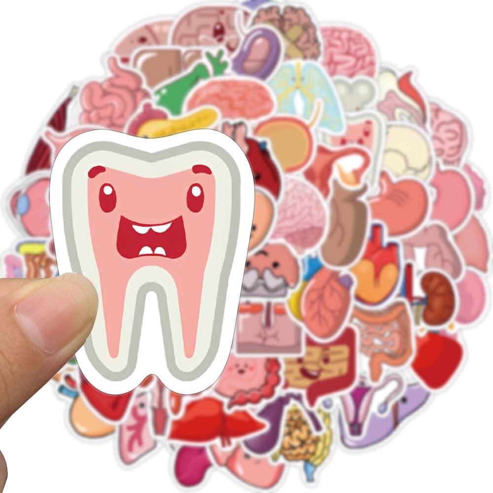 [Large stickers]65PCS Cartoon Human Organ Stickers Cute Medical Anatomy ...