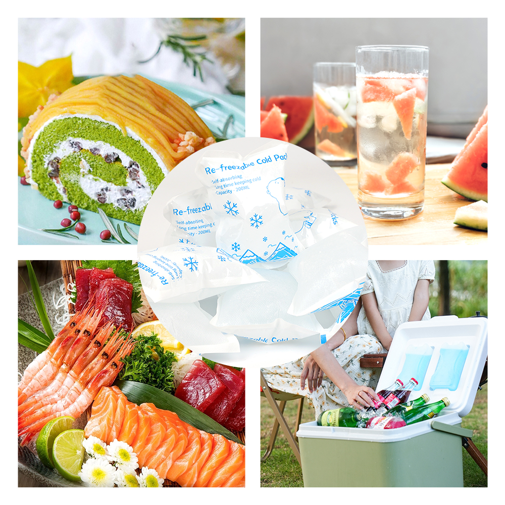 Reusable 2/4/10/25PCS 200ml Shipping Dry Ice Packs Sheets for Coolers ...