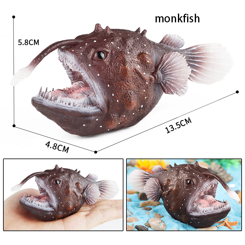 deep sea fish anglerfish monkfish simulation model children science ...