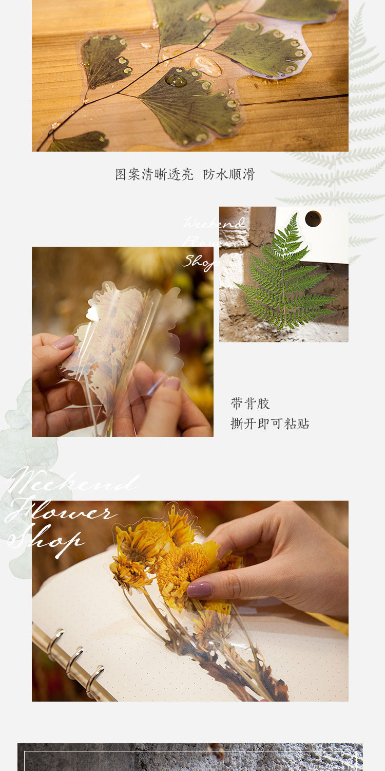ENWEI 6 Pcs [Dried Flowers Series] Vintage Journal Stickers Waterproof ...