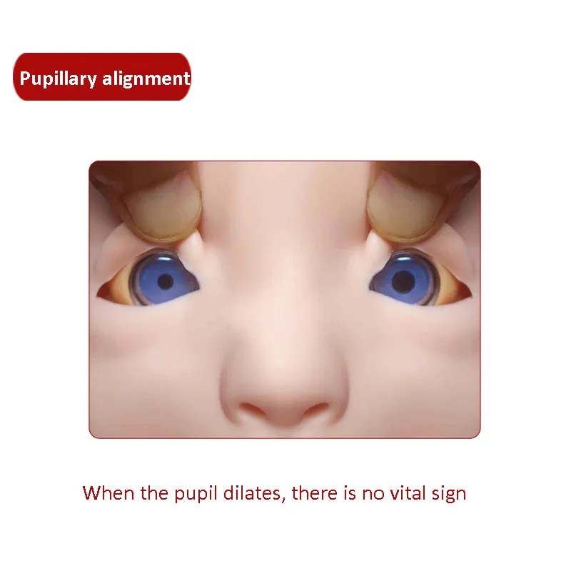 CPR AED First Aid Training Dummy Manikin Cardiopulmonary Resuscitation ...